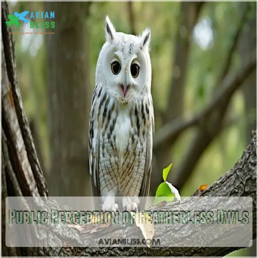 Featherless Owls: What They Look Like and Why They Lose Their Feathers