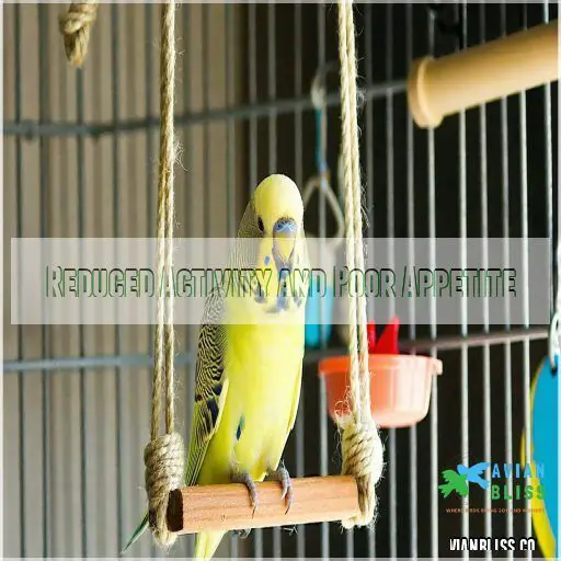 Recognizing Bird Health Problems: Warning Signs Every Owner Should Know