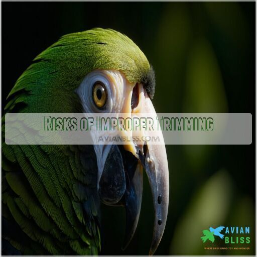 Parrot Beak Care Tips: Fix Overgrowth Fast