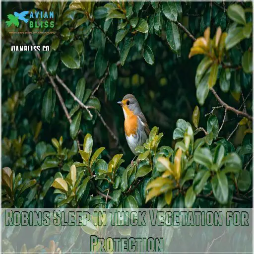 Where Do Robins Sleep? 10 Surprising Places They Rest at Night