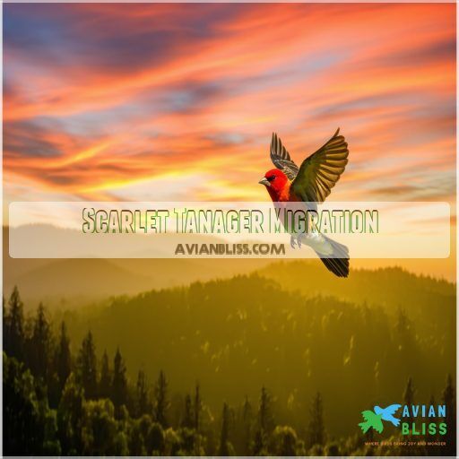 Best Bird Migration Routes: Flyways, Conservation, and Migration Patterns