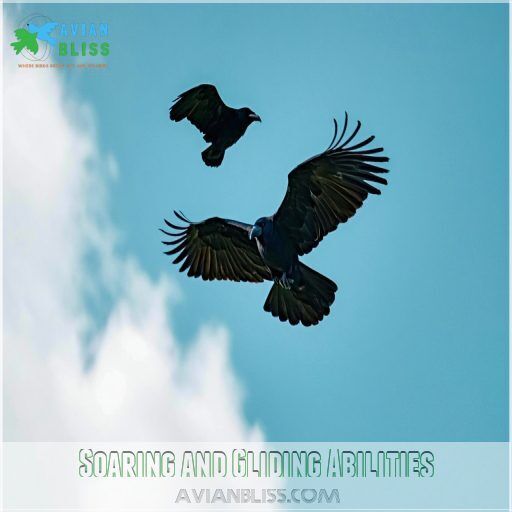 Raven Vs Crow: 7 Mind-Blowing Differences You Never Knew Existed!