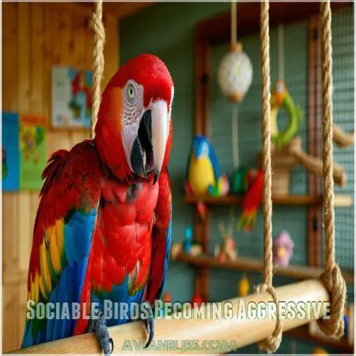 Recognizing Bird Health Problems: Warning Signs Every Owner Should Know