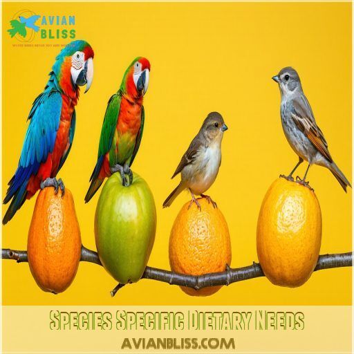 Balanced Avian Diet Plans: Feed Your Birds Right in 2025 | Expert Guide