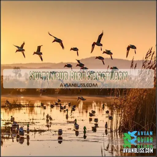 Top Bird Sanctuaries Worldwide: Hidden Gems