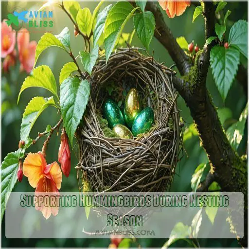 When is Nesting Season for Hummingbirds? Key Facts You Need to Know