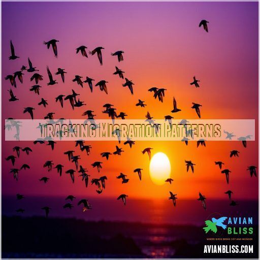 Best Bird Migration Routes: Flyways, Conservation, and Migration Patterns