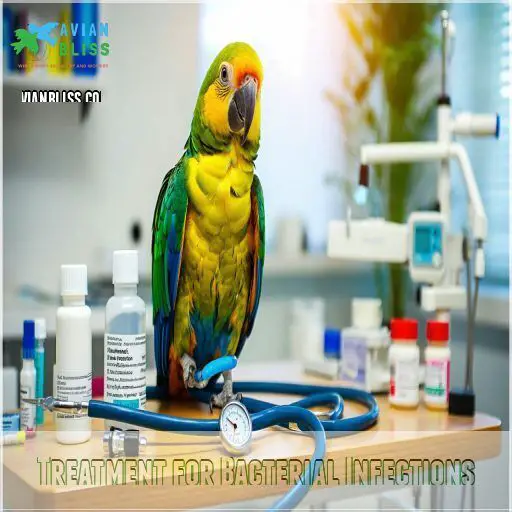 Common Bird Illness in Parrots: Symptoms, Causes, and Treatments