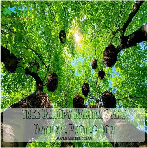 Types of Bird Nesting Sites: 15 Amazing Places Birds Build Their Homes