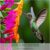 Unusual Bird Facts You Won't Believe