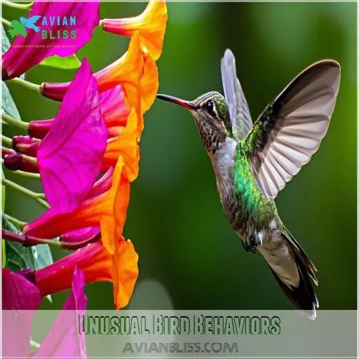 Unusual Bird Facts You Won't Believe