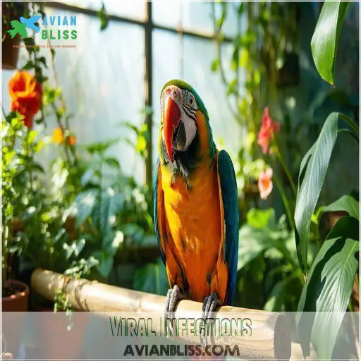 Common Beak Problems in Birds: Causes, Signs, and Prevention Tips