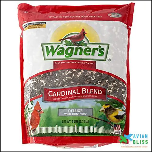 10 Best Wild Bird Seeds for Attracting Cardinals (2026)