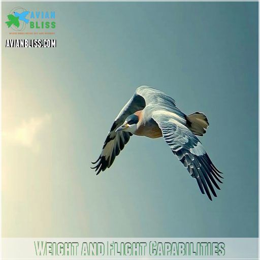 Birds With Largest Wingspan: Meet Nature's Soaring Giants