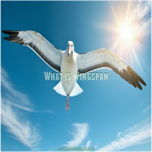 Birds With Largest Wingspan: Meet Nature's Soaring Giants