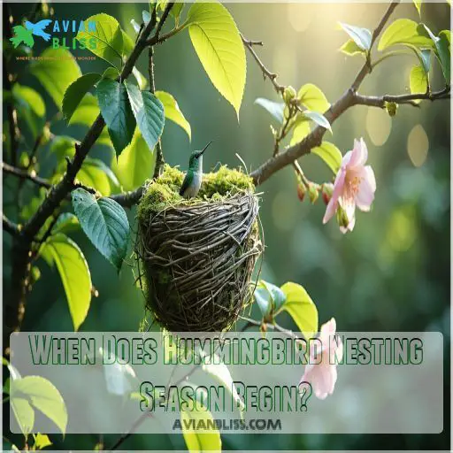 When is Nesting Season for Hummingbirds? Key Facts You Need to Know