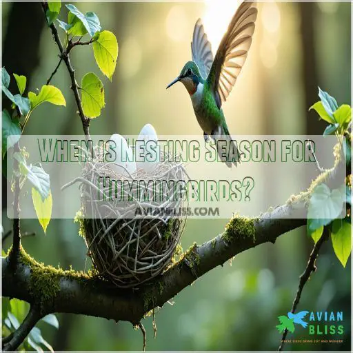 When is Nesting Season for Hummingbirds? Key Facts You Need to Know