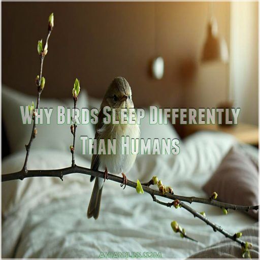 Do Birds Sleep Standing Up? Learn Their Amazing Sleep Adaptations!