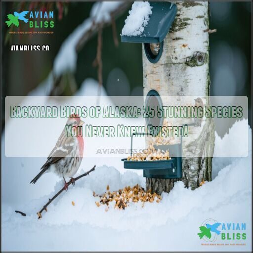 Backyard Birds of Alaska: 25 Stunning Species You Never Knew Existed!