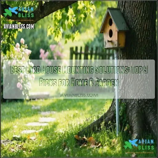 Bird House Building Tips: DIY Guide to Backyard Bird Havens