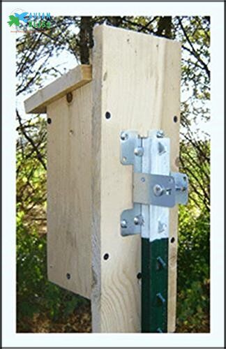 Bird House Mounting Pole Solutions: 9 Best Options That Birds Love in 2025