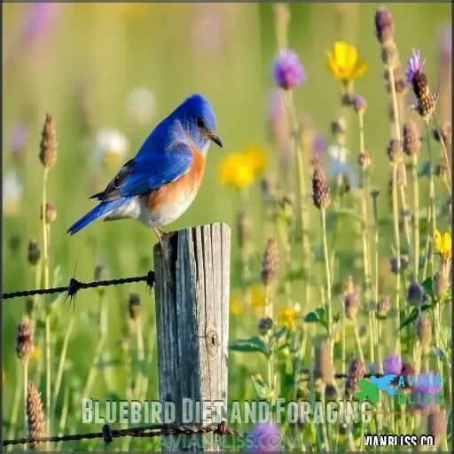 Blue Birds in Georgia: Habitats, Nesting, and How to Attract Them
