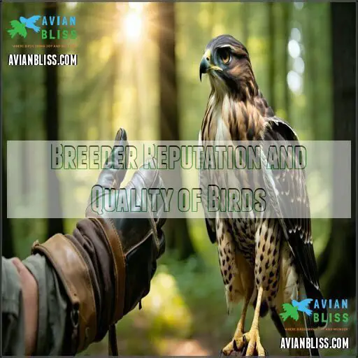 Trained Hawk Cost: Everything You Need to Know About Prices and Care