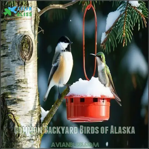 Backyard Birds of Alaska: 25 Stunning Species You Never Knew Existed!