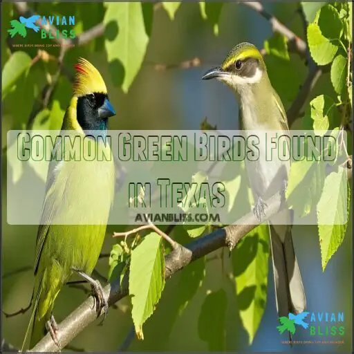 Green Birds in Texas: See Them!