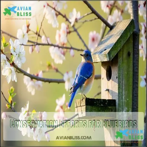 Blue Birds in Georgia: Habitats, Nesting, and How to Attract Them