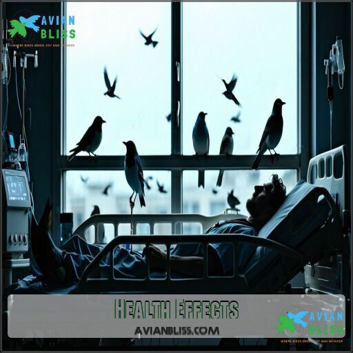 Bird Unusual Droppings Disease: 5 Hidden Health Threats You Can't Ignore