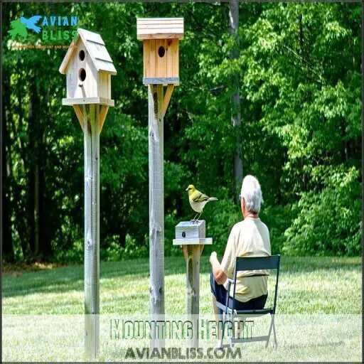 Best Bird House Mounting Solutions: Top 9 Picks for Home & Garden