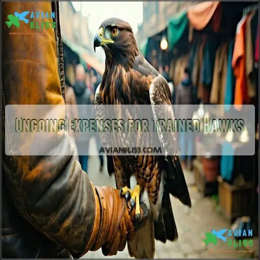 Trained Hawk Cost: Everything You Need to Know About Prices and Care