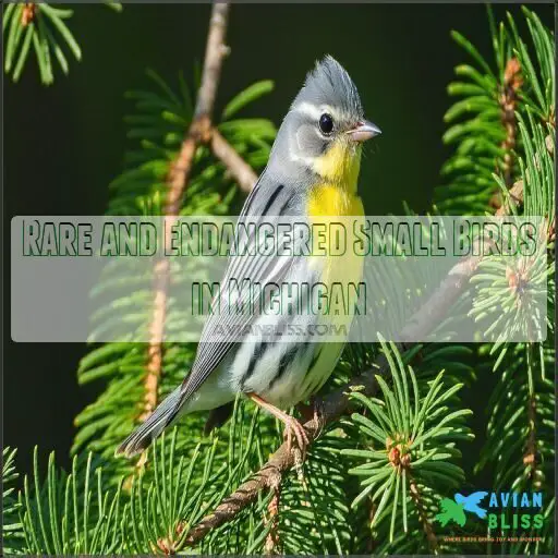 Small Birds in Michigan: 25 Must-See Backyard Visitors (With Photos!)