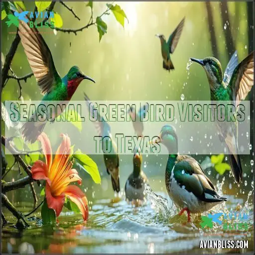 Green Birds in Texas: See Them!