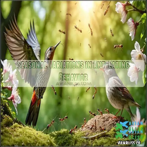 Do Birds Eat Ants? Surprising Facts About Their Diet and Behavior