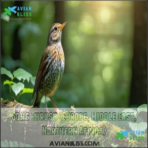 What Kind of Birds Chirp in The Morning? A Guide to Early Singers