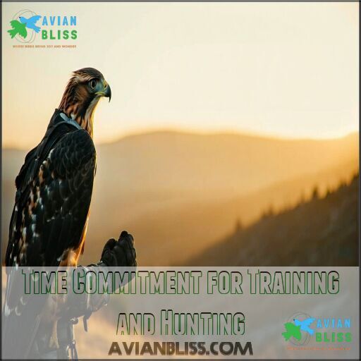 Trained Hawk Cost: Everything You Need to Know About Prices and Care