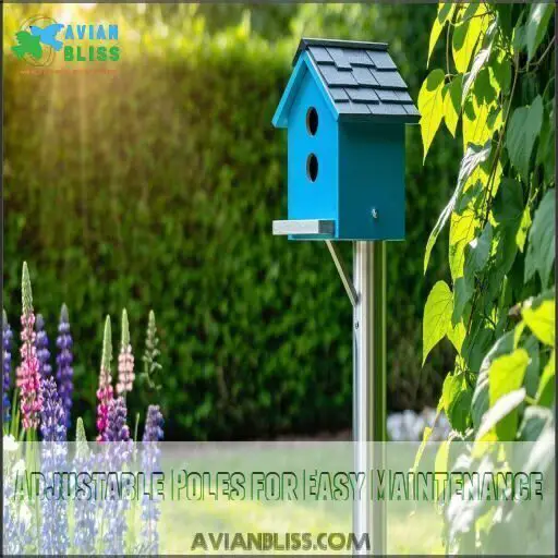 Bird House Mounting Pole Solutions: 9 Best Options That Birds Love in 2025