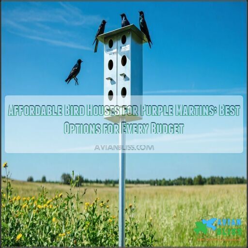Affordable Bird Houses for Purple Martins: Best Options for Every Budget