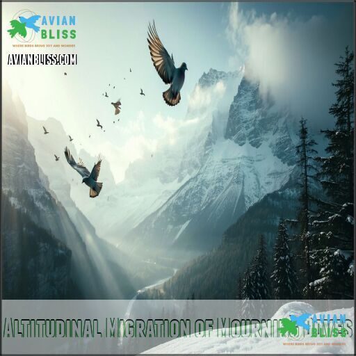 How Long Do Mourning Doves Live? Lifespan, Survival, and Fascinating Facts