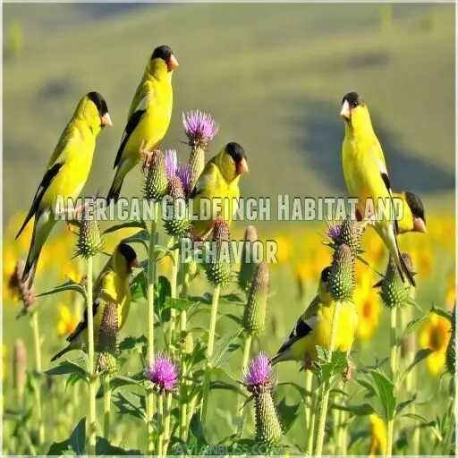 Yellow Birds in Arizona: 15 Stunning Species You Must See Today!