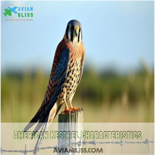 Falcons in Florida: Types, Habitats, and Where to Spot Them