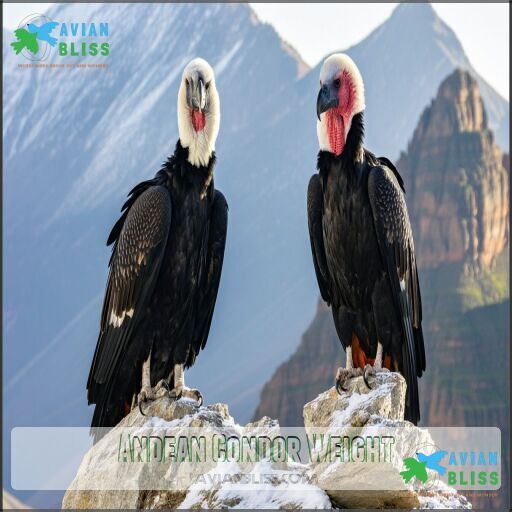 Largest Flying Birds: by Wingspan, Weight, and Height for 2025