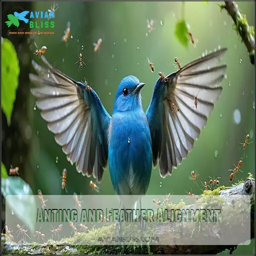 Natural Feather Conditioning Methods: 7 Bird Secrets for Perfect Plumage