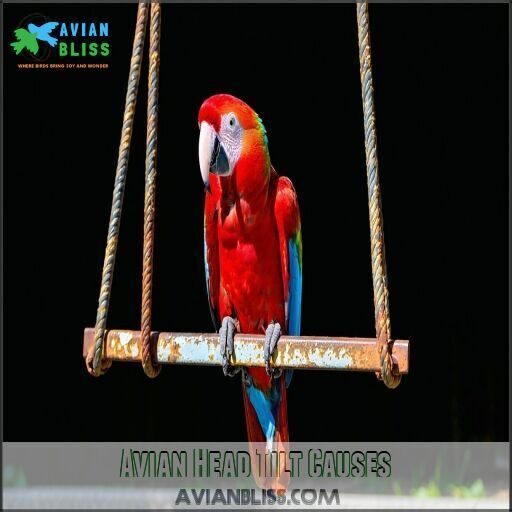 Avian Head Tilting Disease: 5 Warning Signs Every Bird Owner Must Know