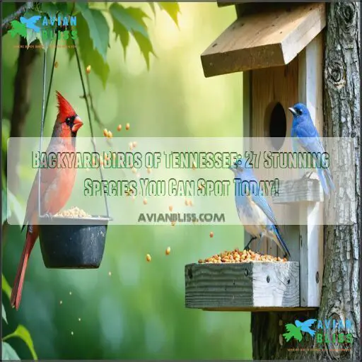 Backyard Birds of Tennessee: 27 Stunning Species You Can Spot Today!