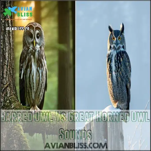 California Owl Sounds: Identify Calls of 10 Common Owls (2025 Guide)