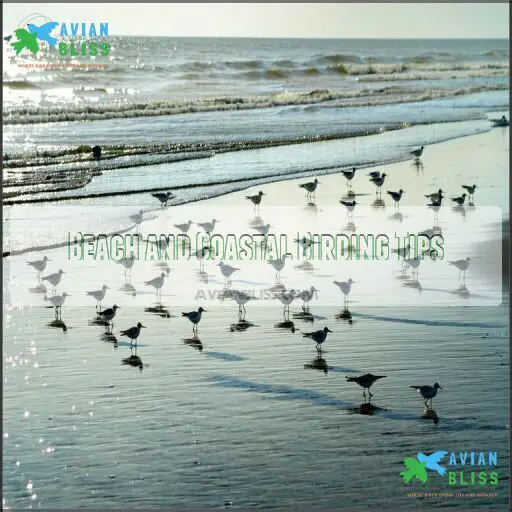 Exploring Coastal Bird Habitats Tips: Shorebirds, Hotspots & More