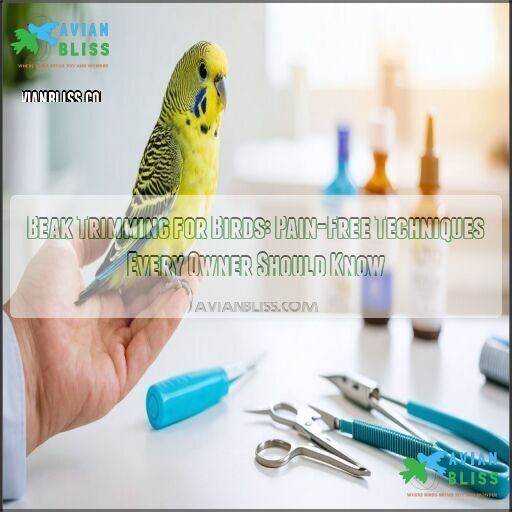 Beak Trimming for Birds: Pain-Free Techniques Every Owner Should Know